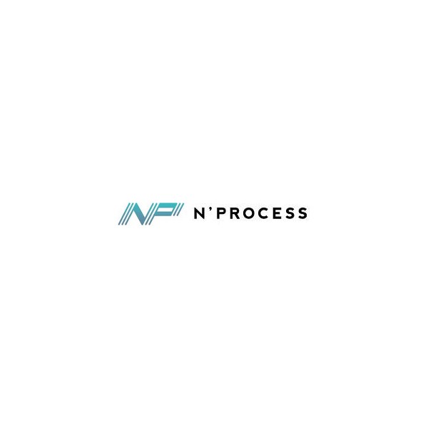 N'PROCESS PLATING EXPERT